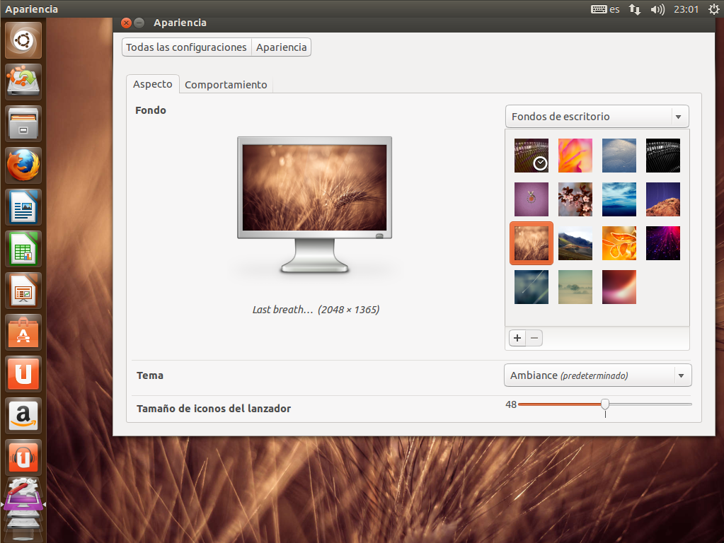 Esbuntu: Lanzada la Beta 2 (final) de Ubuntu 13.04