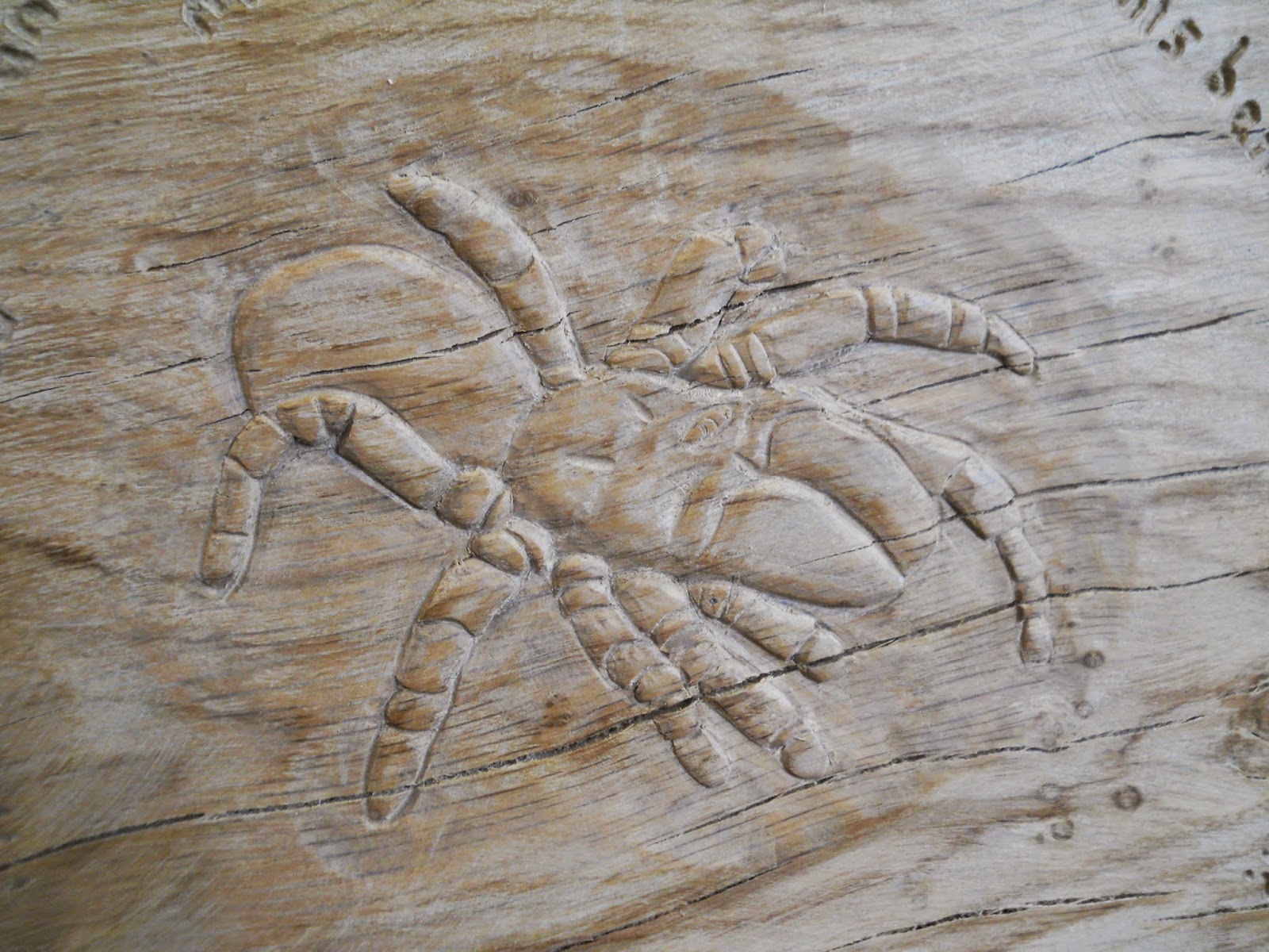 A sneak preview of some of the carvings on the bench for the Bristol ...