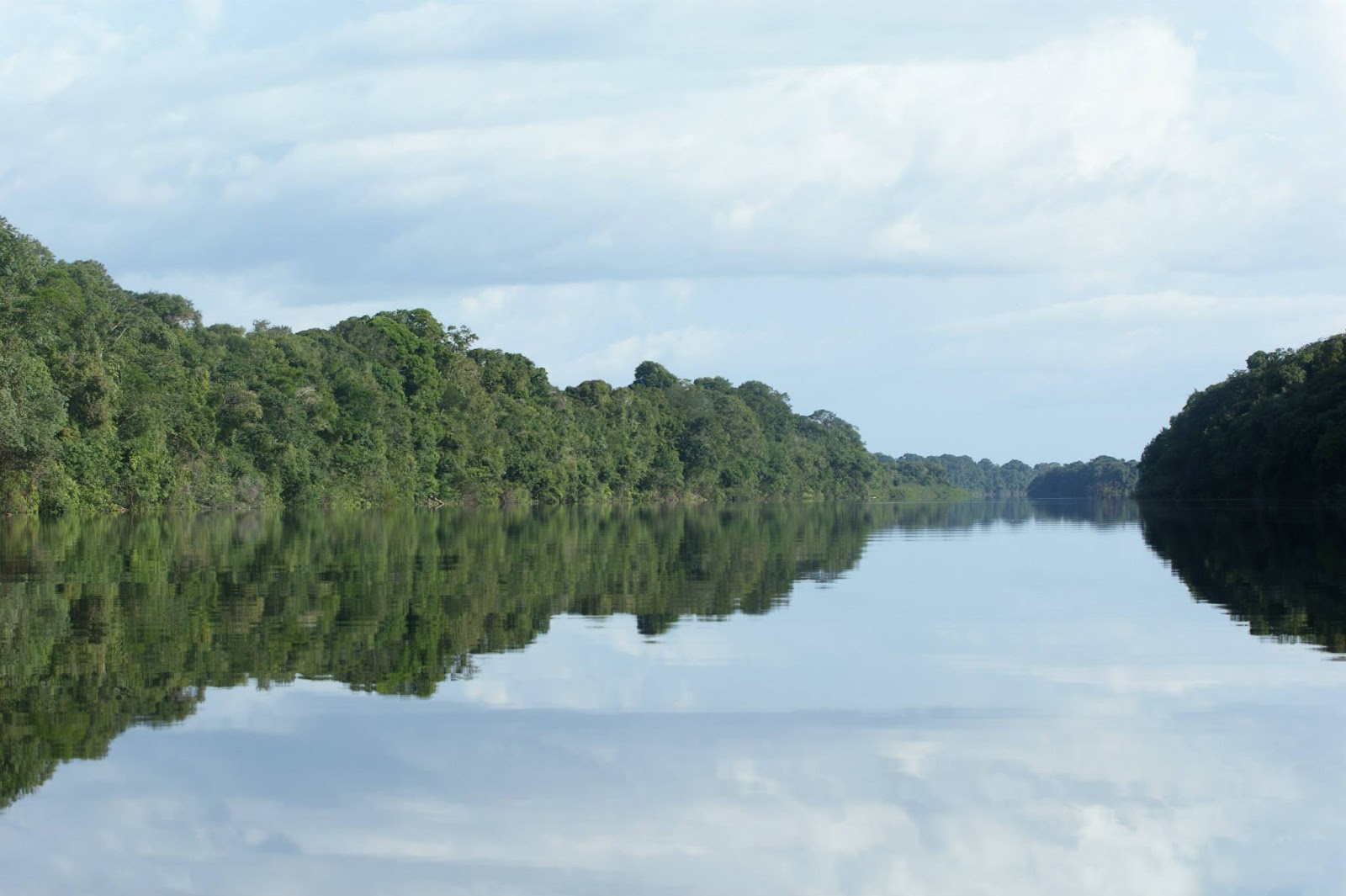 Family travel (two kids, high maintenance mother and somewhat reluctant ...