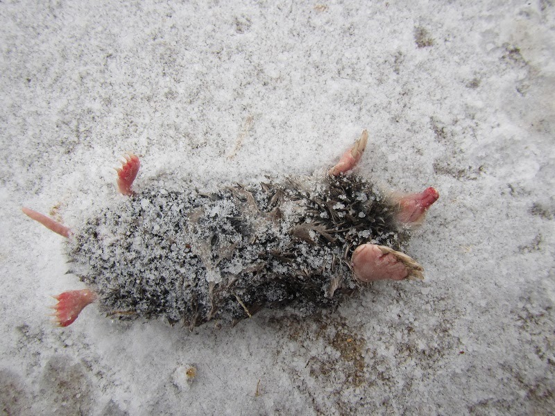 Ruthlynn's World: 2014-02-23