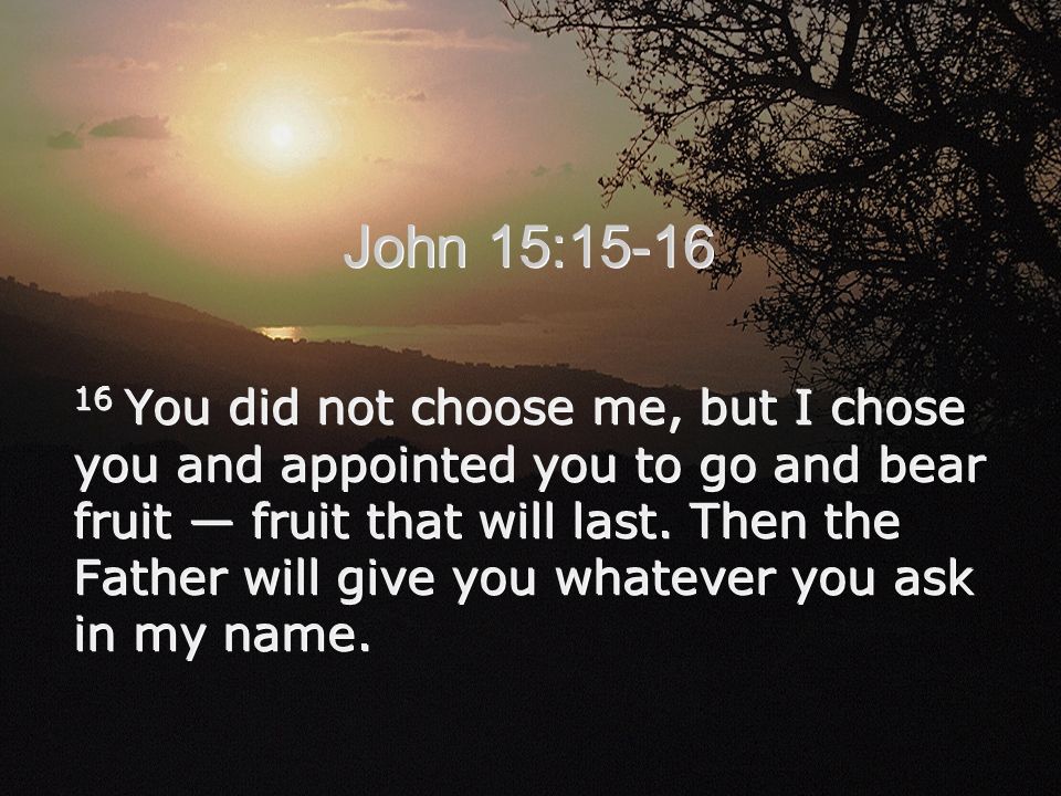 John 15 16