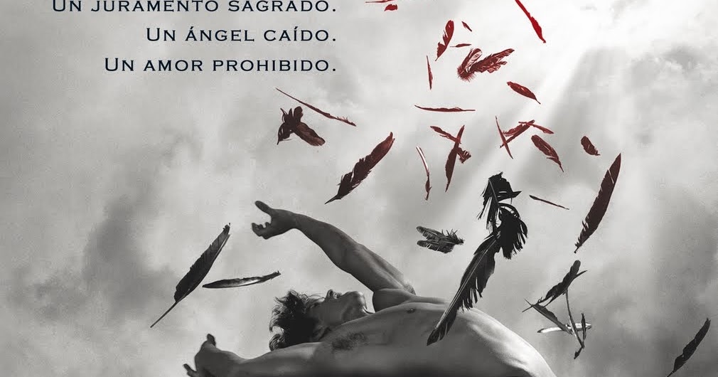 El Reino de mis Medias Verdades: Reseña: Hush, Hush (libro I de la saga ...