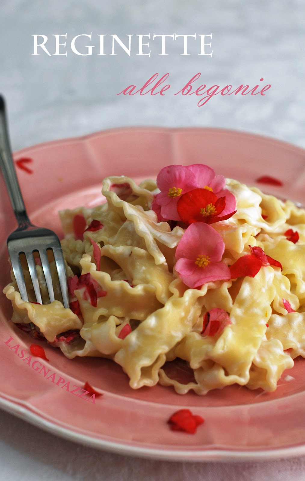 lasagnapazza: REGINETTE ALLE BEGONIE