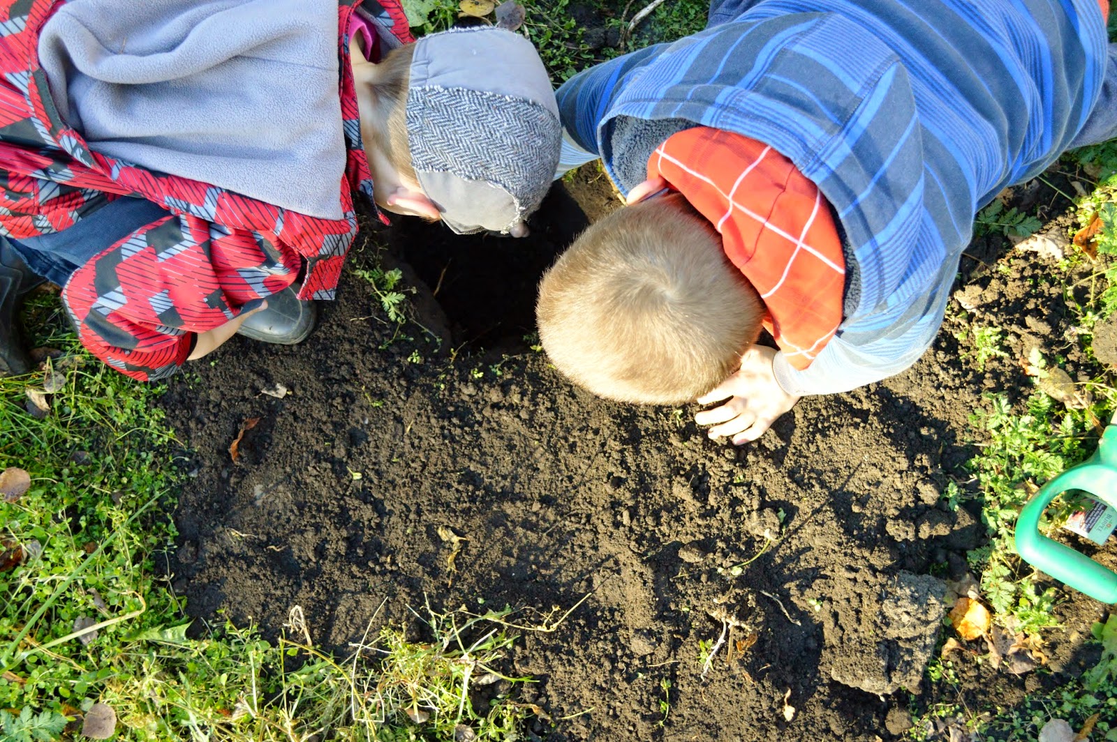 THE FREEDOM TO DIG FOR WORMS - Life Without Lemons