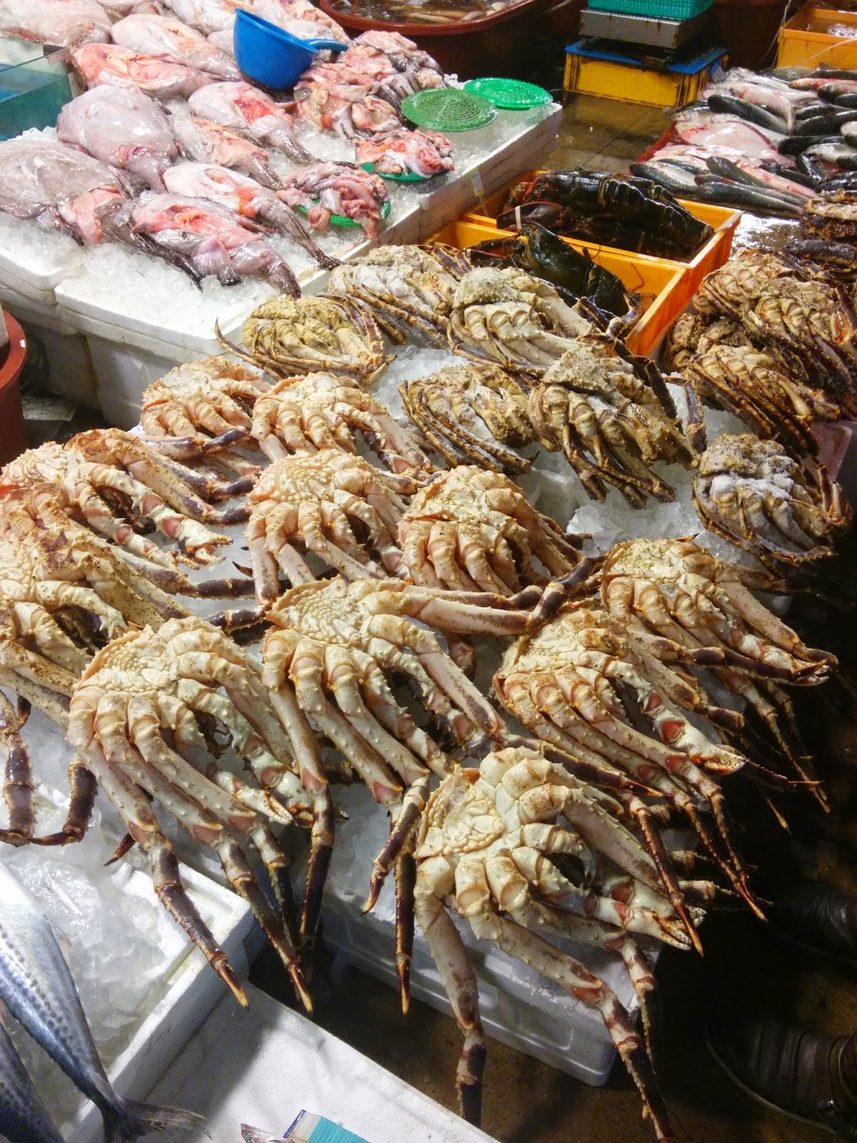 Travel The Silk Route: The biggest fish market in the world