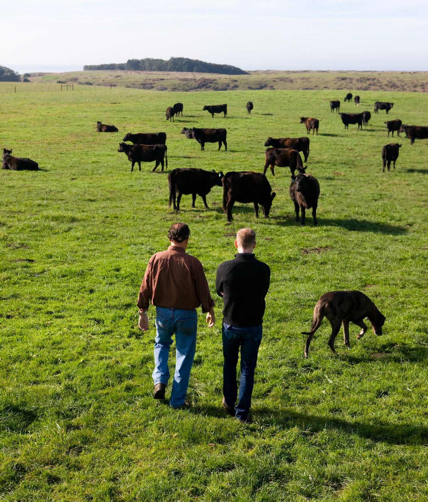 Environment & Natural Resources in the 21st Century: New Student Group ...