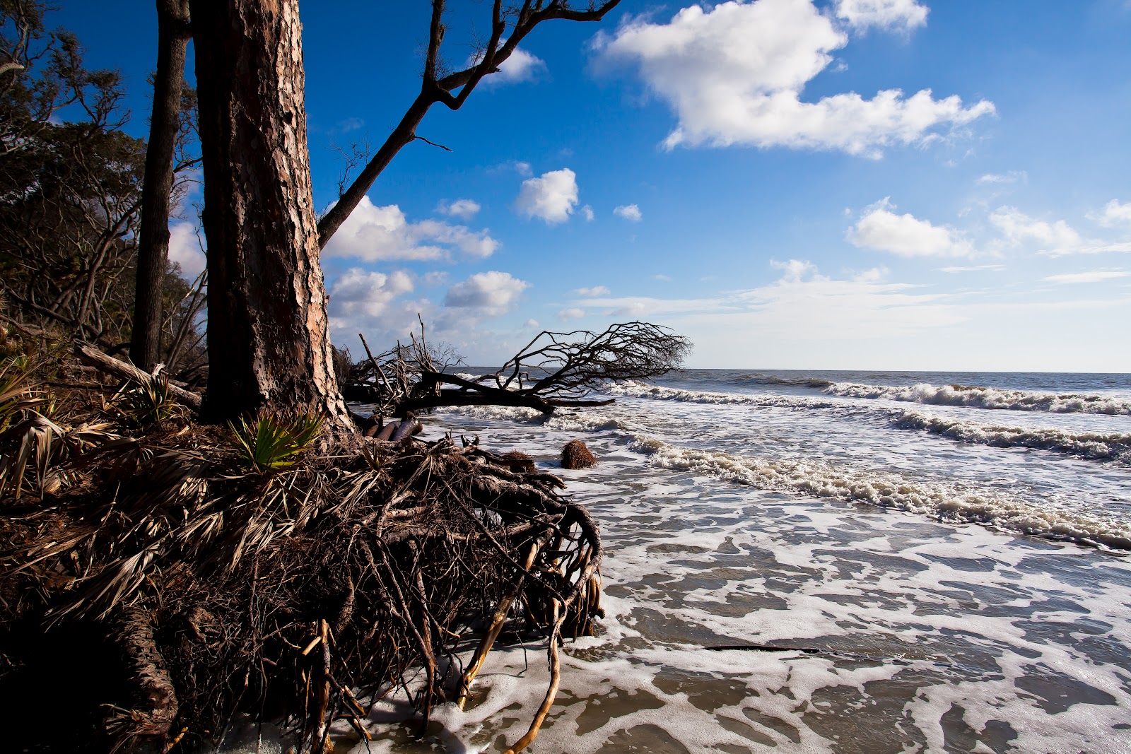Lincoln's Domain: Hunting Island State Park near Beaufort, SC