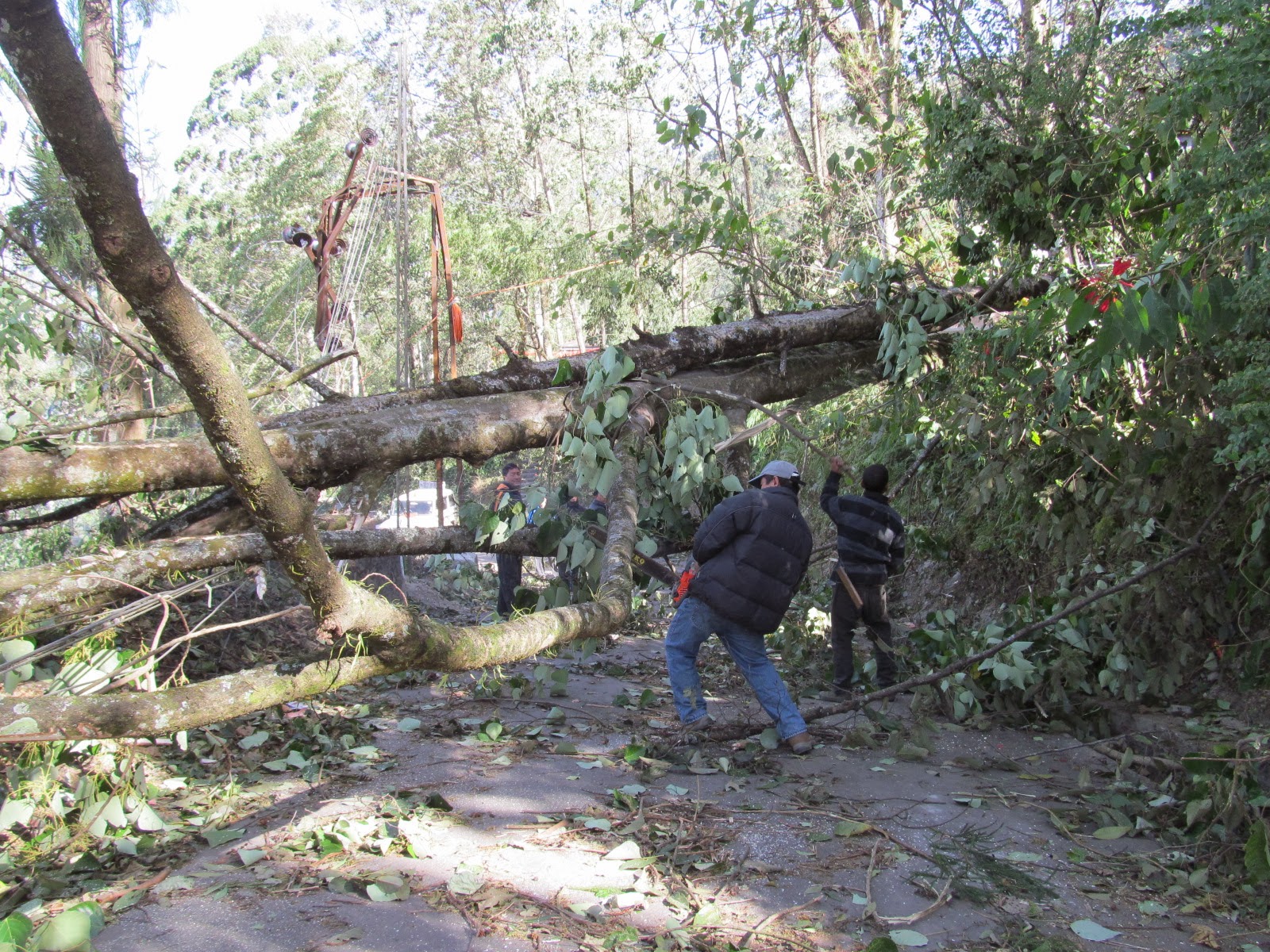 Sikkim NOW!: North receives severe lashing