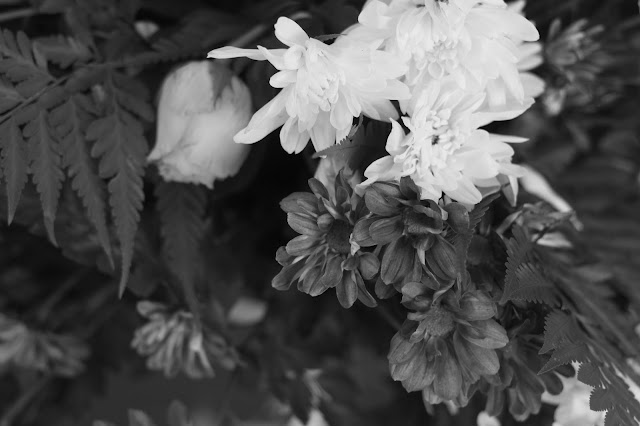 Introduction To Photography • e-portfolio: Final Project: Part II