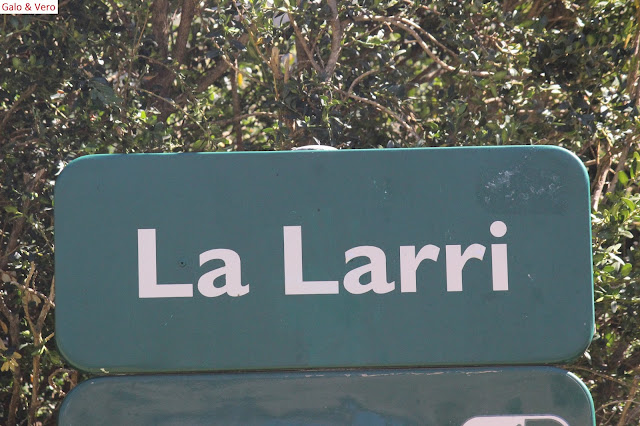 MONTAÑA PARA TODAS LAS EDADES: Los Llanos de La Larri