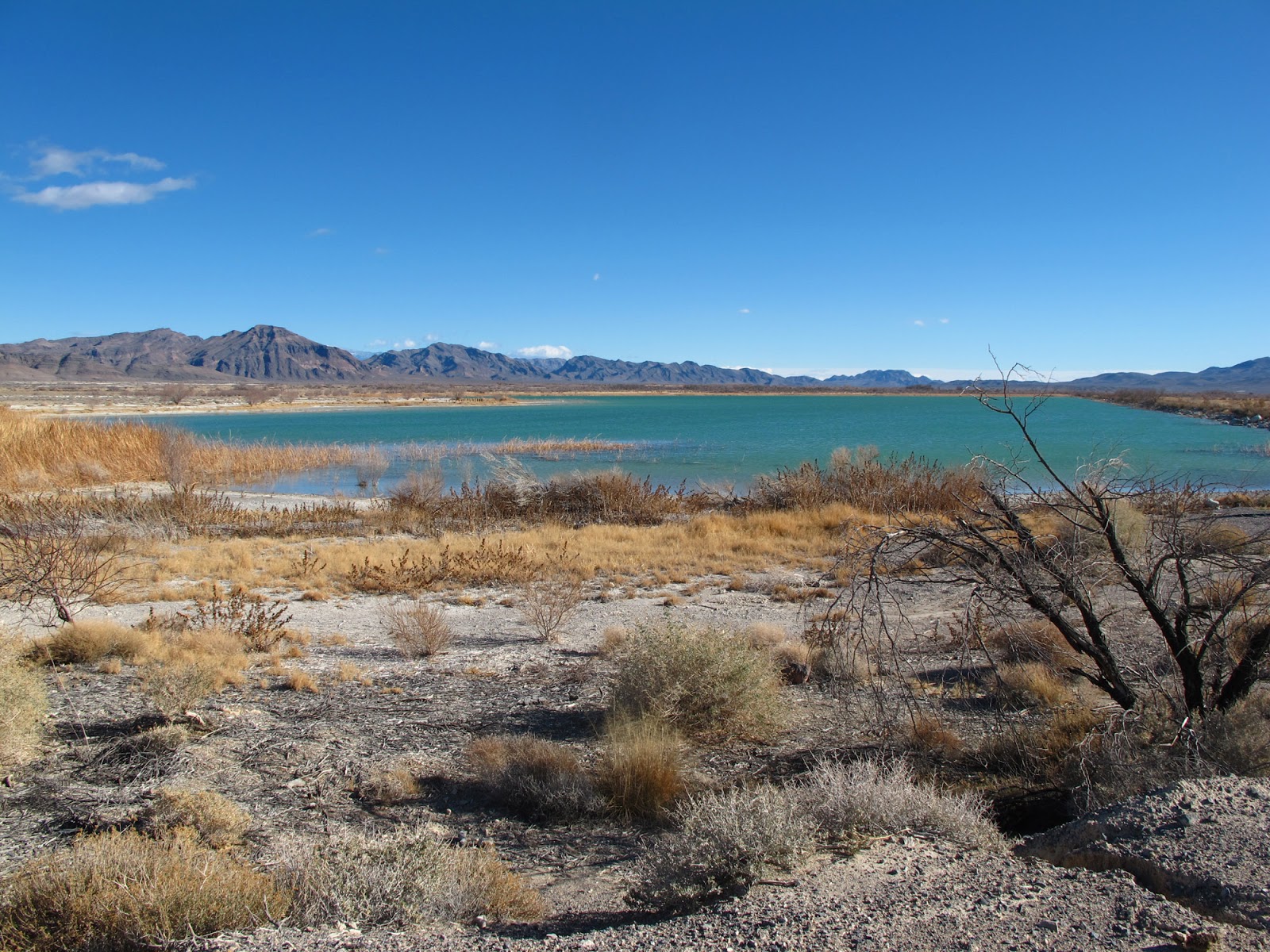 Squirrel's View: Ash Meadows National Wildlife Refuge
