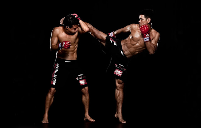BUDOKAN blog de artes marciales : Maneras de Mejorar tu Patada circular