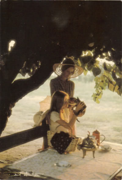 Photojenic 213 David Hamilton
