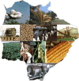 CDI Administração: Setores Econômicos