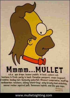 Sassy Sister Vintage: The Mullet......and I don't mean the fish kind....