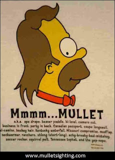 Sassy Sister Vintage: The Mullet......and I don't mean the fish kind....