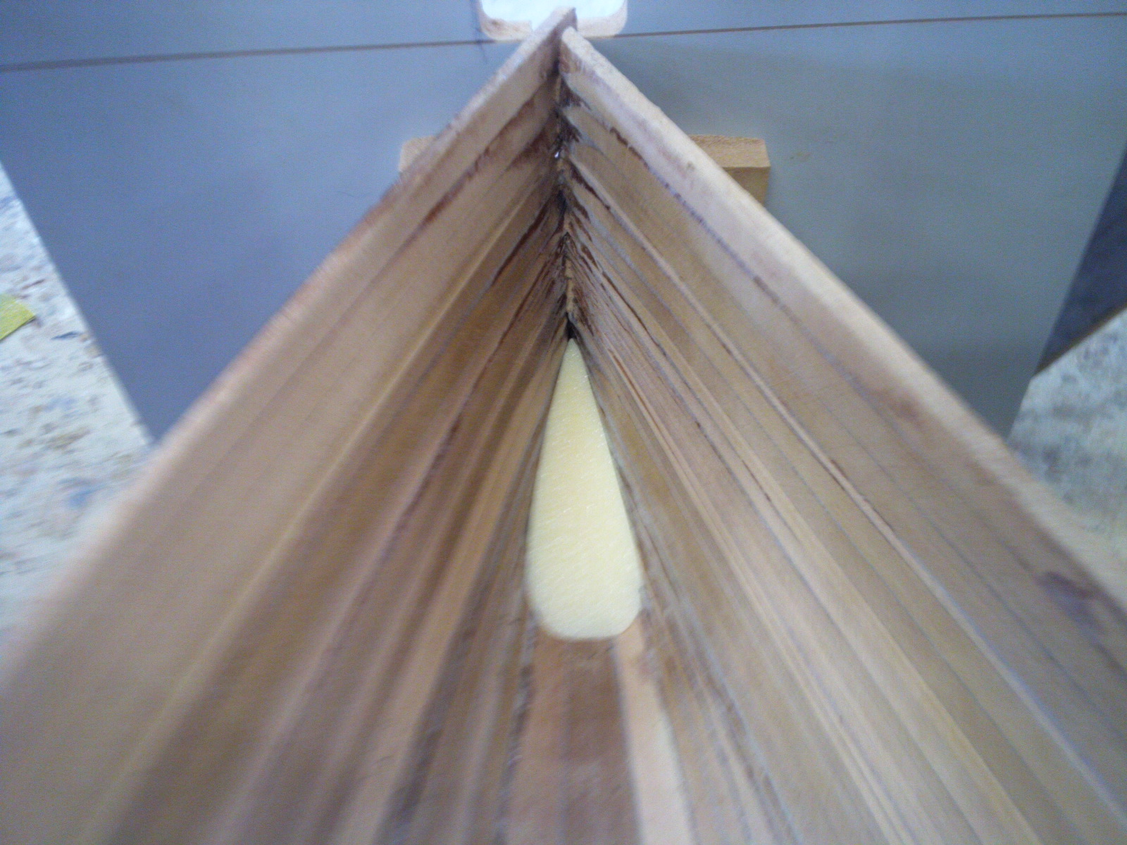 BenJames: Strip Planking and Hull construction