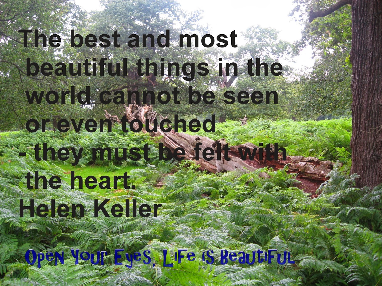 Open Your Eyes. Life Is Beautiful: The best and most beautiful things ...