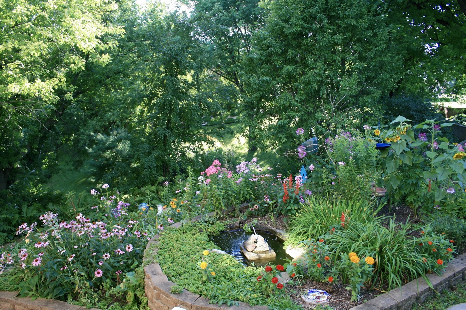 Amy's Creative Pursuits: What's Blooming in My Early August Garden