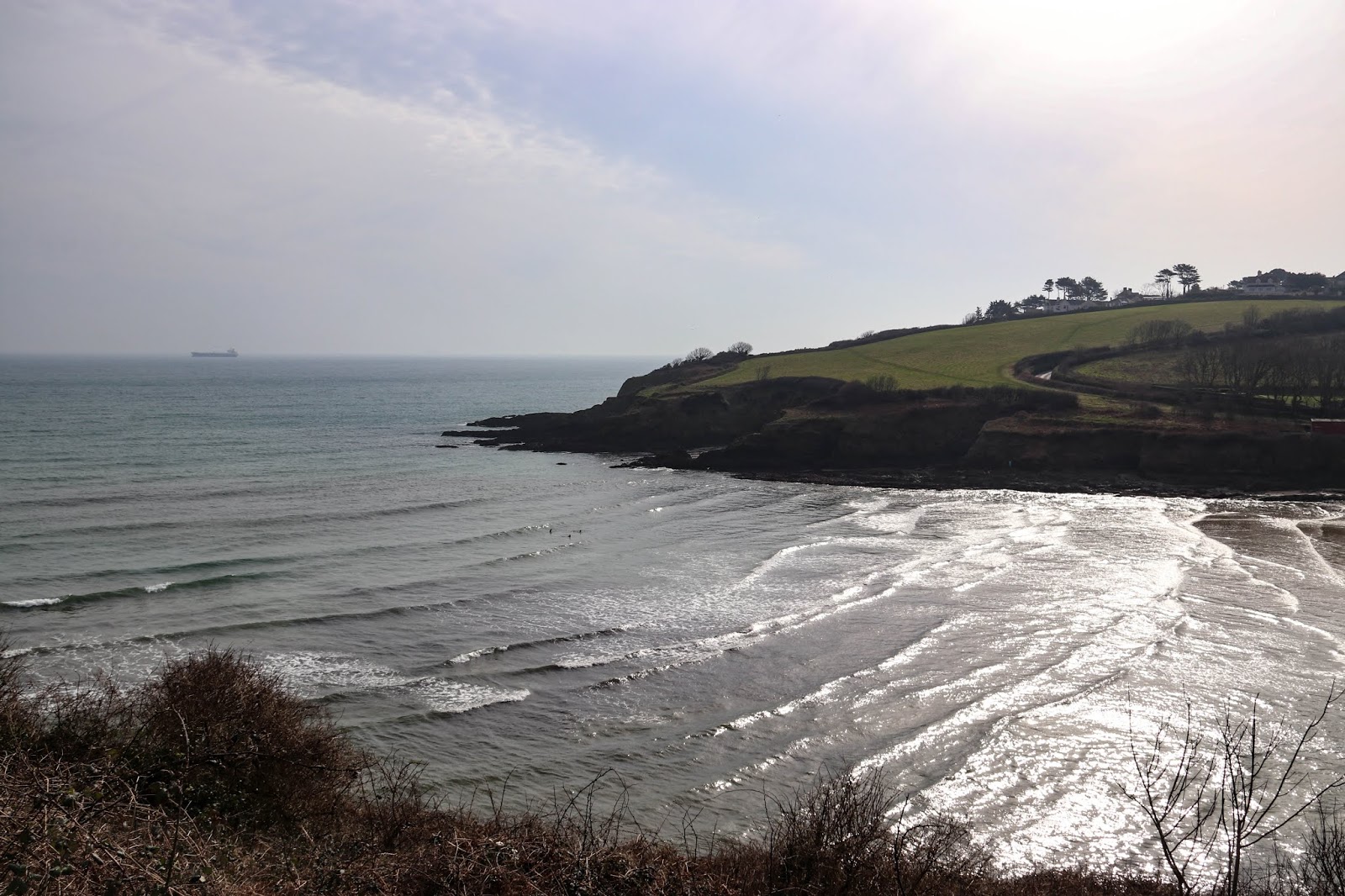 Musings from Higher Downgate and Elsewhere: A weekend at Housel Bay ...