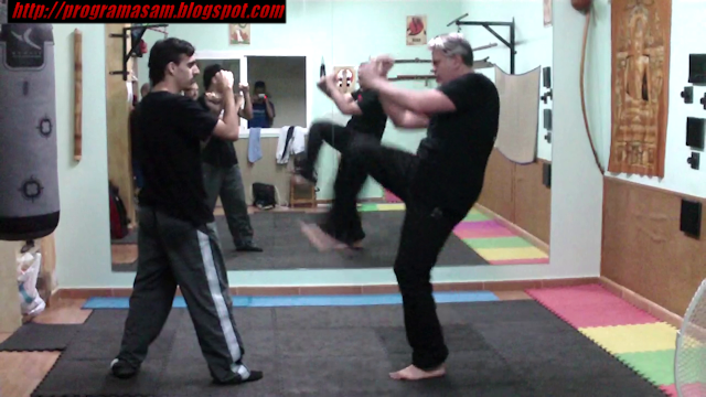 SISTEMA DE AUTOEXPRESION MARCIAL : Estudio de mecánica corporal en las ...