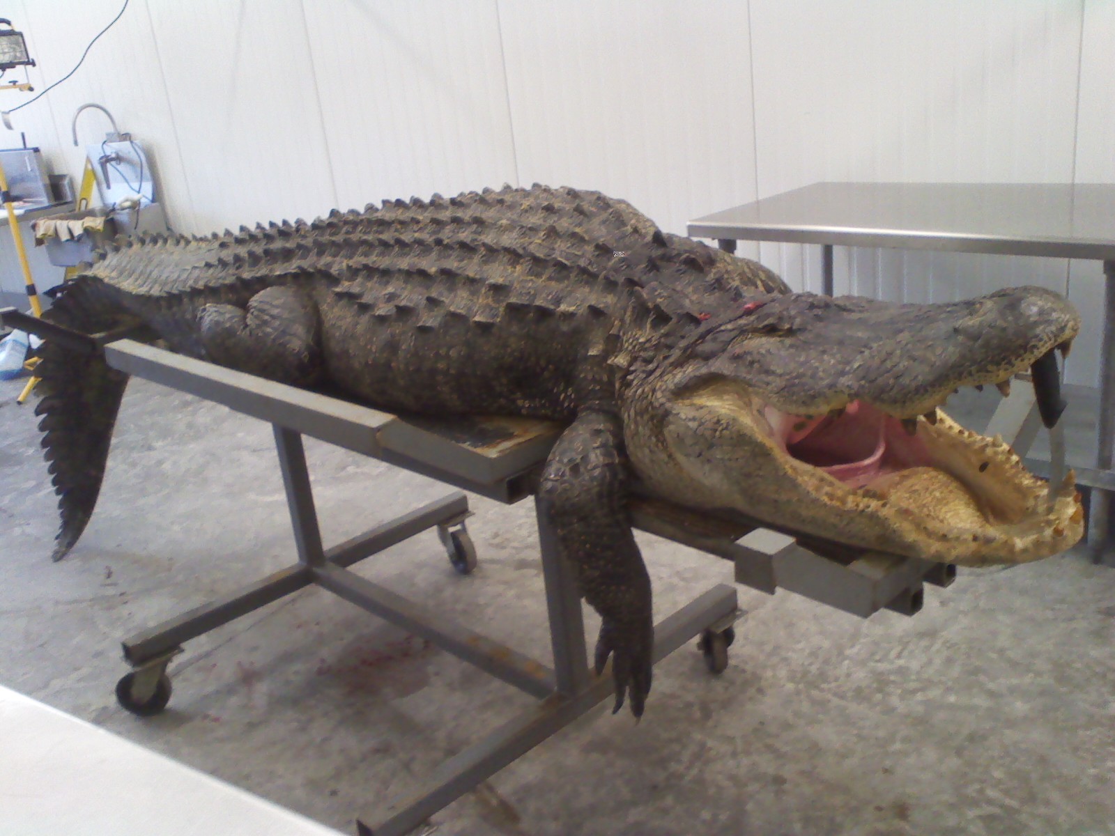 Cordray's: Cordray Brothers Alligator Sausage Dip recipe