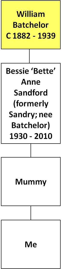 A DEVON FAMILY HISTORY: Great Grandfather William Batchelor