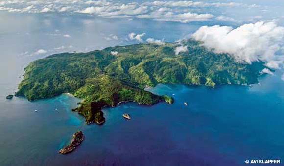 Feliz y Saludable: Diving in Cocos Island with Rafa Vilagut this year