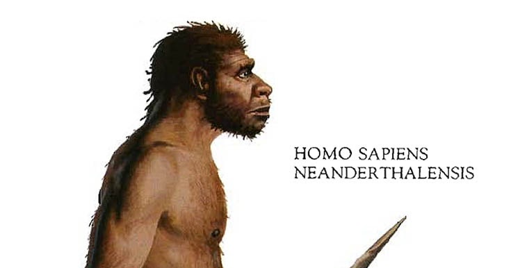 THE HUMAN RACE, "The Long Walk".: NEANDERTHAL MAN (extinct)