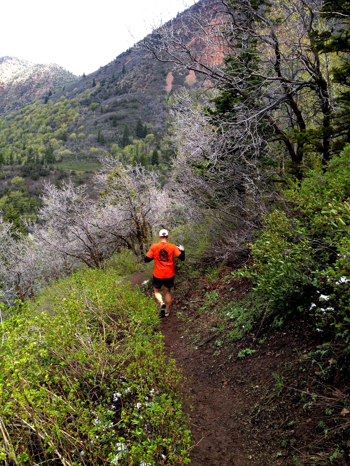 Serious Case of the Runs: Running Around in Our Backyard