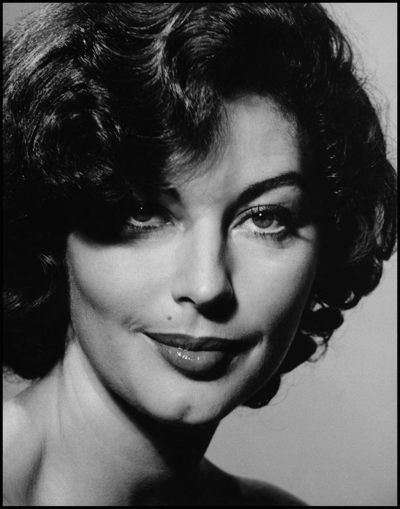 Eclesia-Datum: El Animal Más Bello sobre la Faz de la Tierra