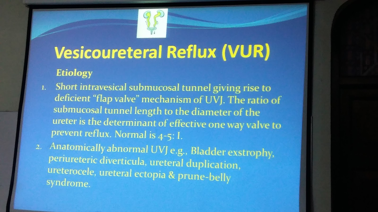 Lecture Slides : Paeds Surgery ; Vesicoureteral Reflux(VUR) And ...