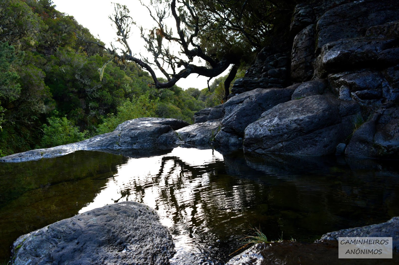 Caminheiros Anónimos Levadas da Madeira : Levada Grande do Paul (Calheta)