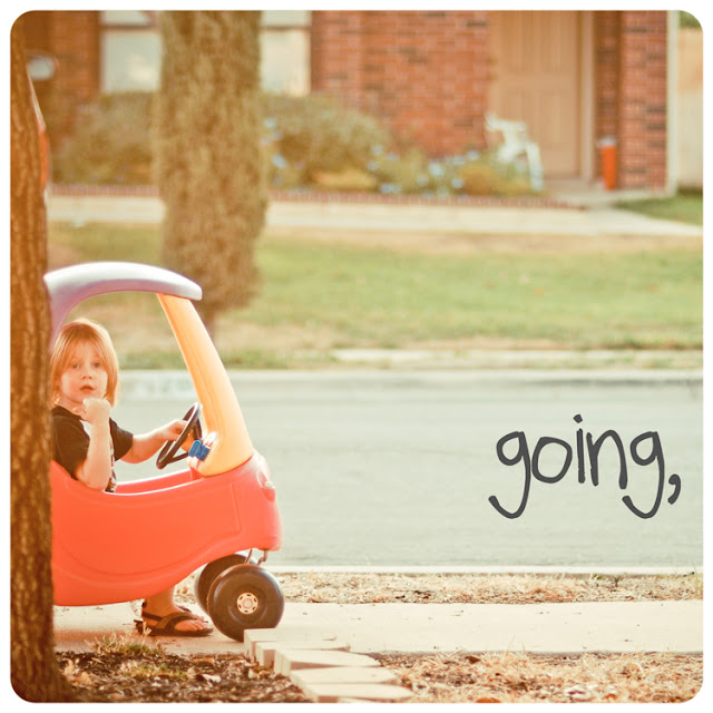 Tutorial-How to put text on a picture using photoshop elements - Key To ...