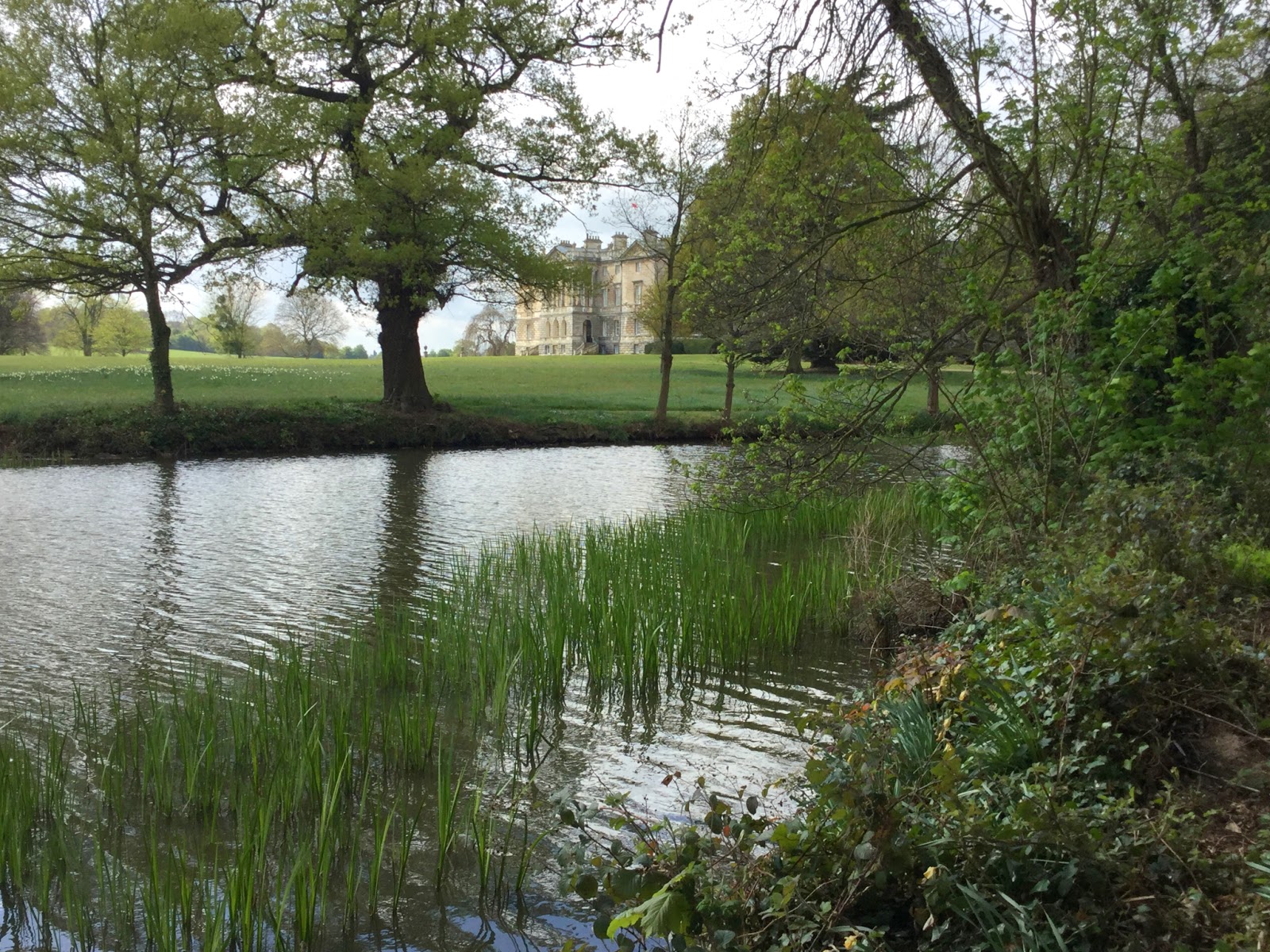 South-West Yorkshire (VC63) Botany Group: Sandbeck Park near Maltby 22 ...