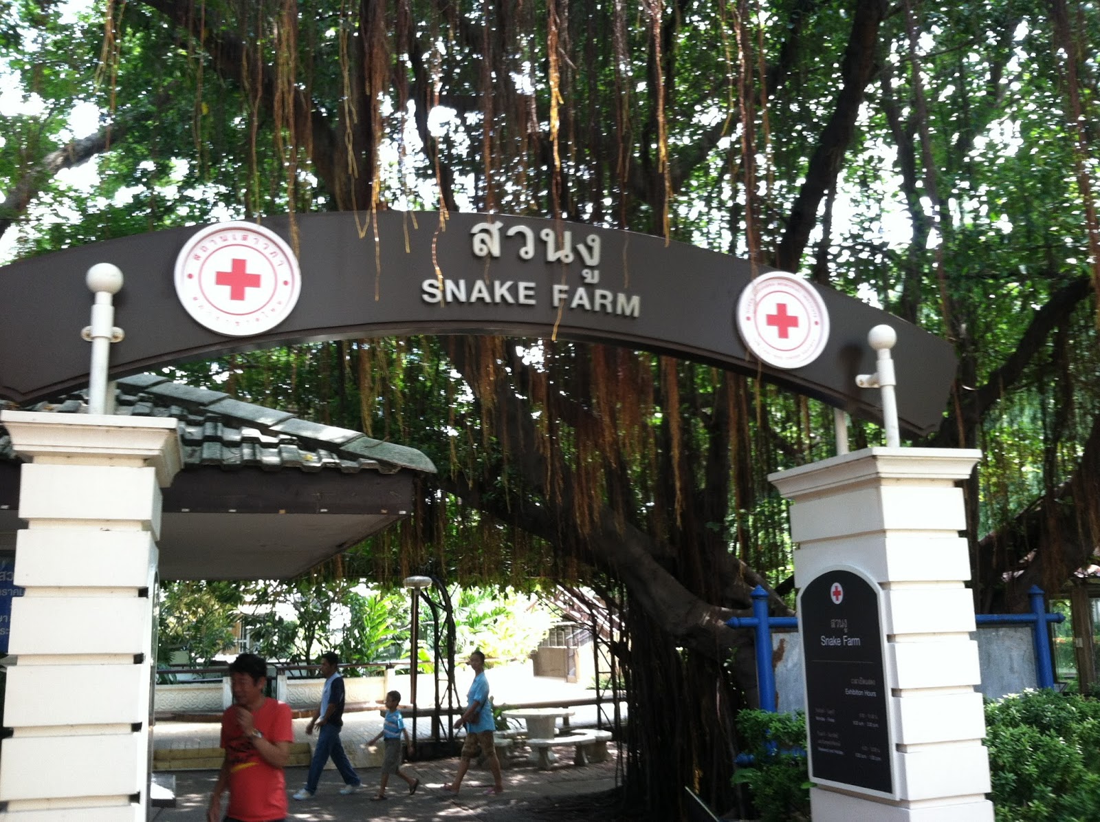 Lawyer Nak Muay: Sunday Series - The Venomous Snake Farm of Bangkok