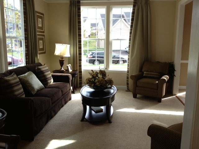 Building Our Dream - Victoria Falls by Ryan Homes: Victoria Falls ...