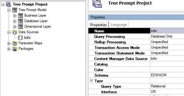 Cognos Hub: Explanation of Data Source Properties in Cognos Framework ...