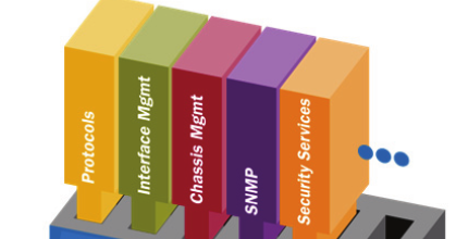 Juniper Basic: Juniper Basic