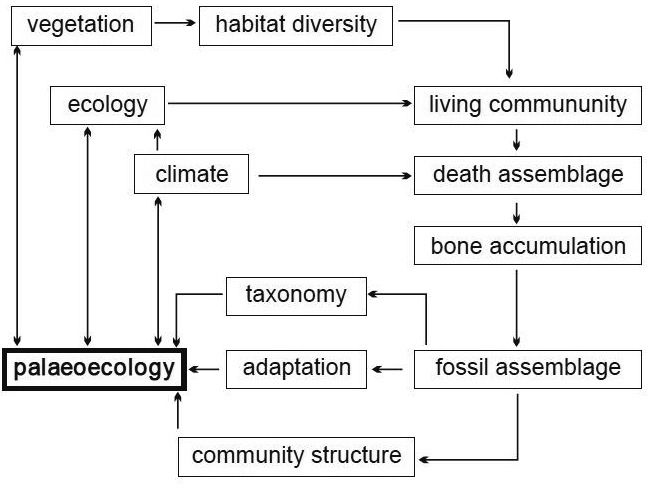 Taphonomy: TAPHEN: AIMS
