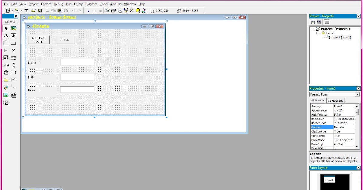 Pembuatan Biodata dengan Input Box pada Visual Basic | Alinea Alphabetica