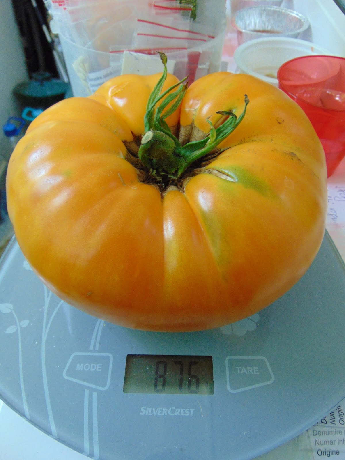 Trei mândre - Grădina Mirelei