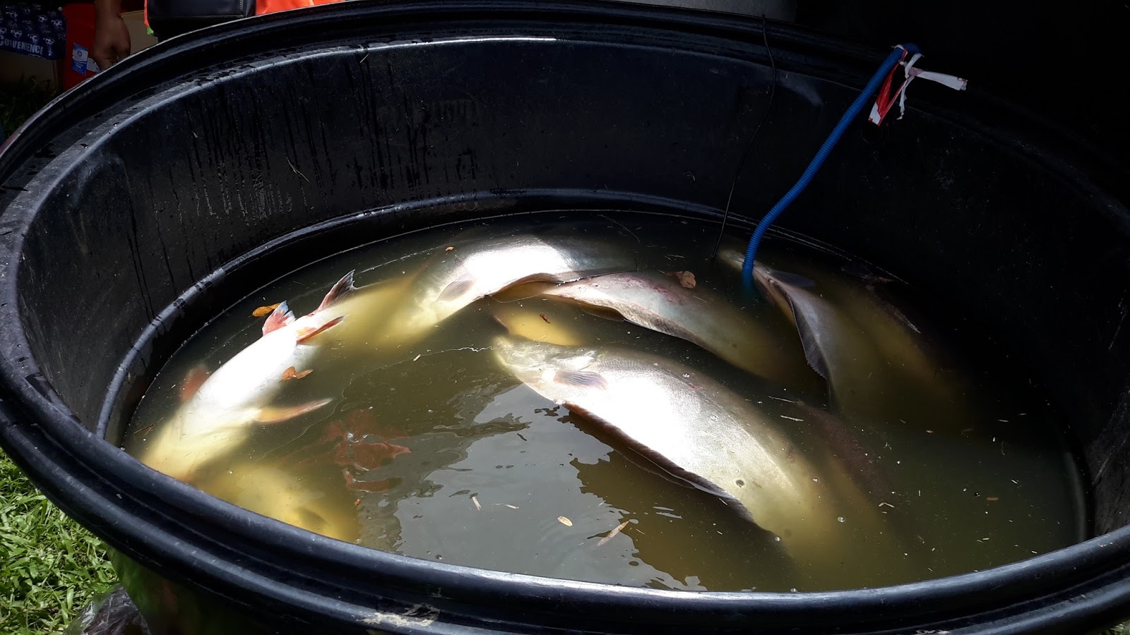 JoranPancing: 1,126 kaki pancing gegar Jelajah Pancing KL di Tasik ...