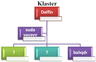 Klaster (şaxələndirmə) ~ Leyla Bayramova