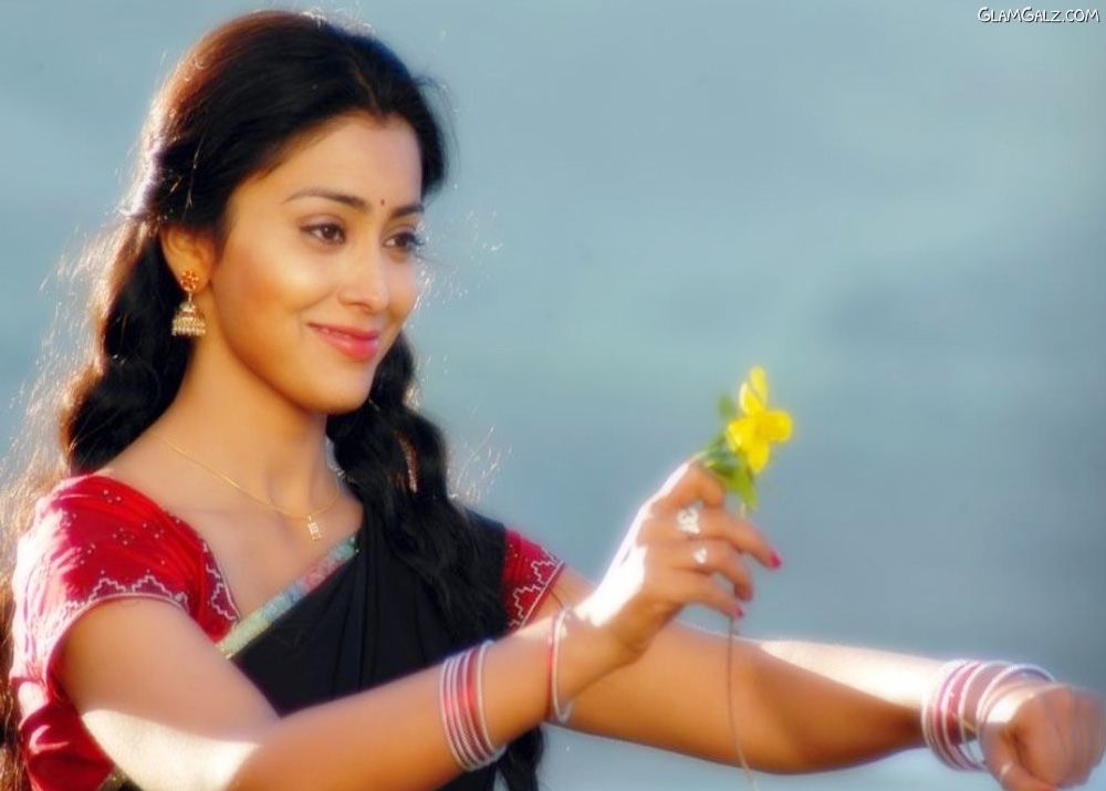 Beautiful Shriya Saran - 04 - Desktop Wallpaper