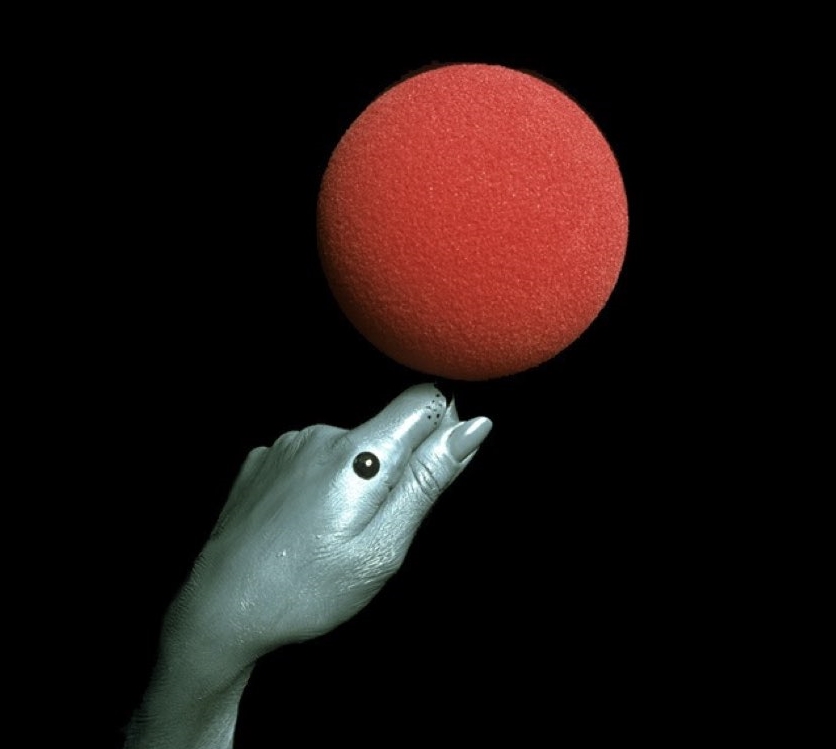 Mario Mariotti | Conceptual art | Hand painting | Tutt'Art@ | Pittura ...