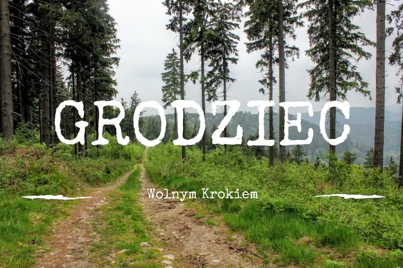 Grodziec - Najwyższy Szczyt Wzgórz Lewińskich