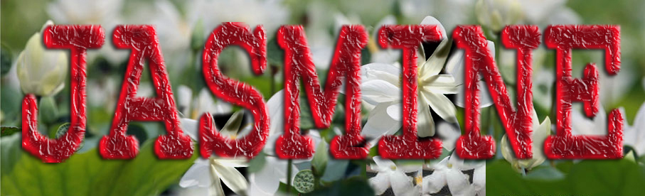 Spreebird wildlife: Jasmine (common) The National flower of Pakistan