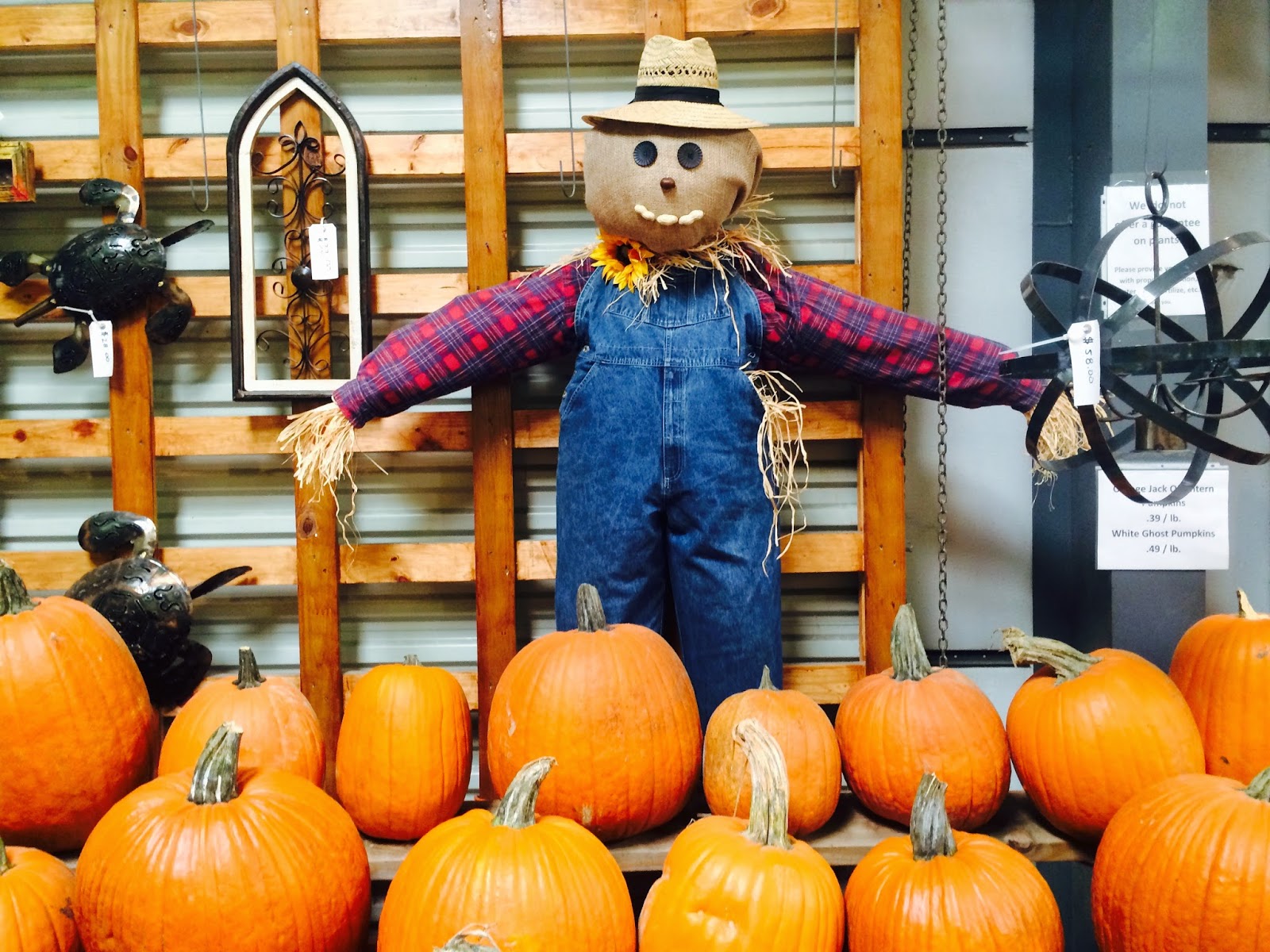 DAC-Art | Hurricane and Tornado Proof Concrete Stone Homes