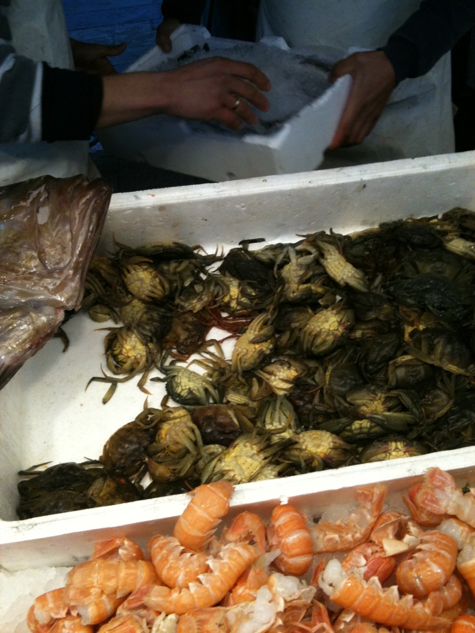 The Venice Experience: A Spring delight- Moeche!